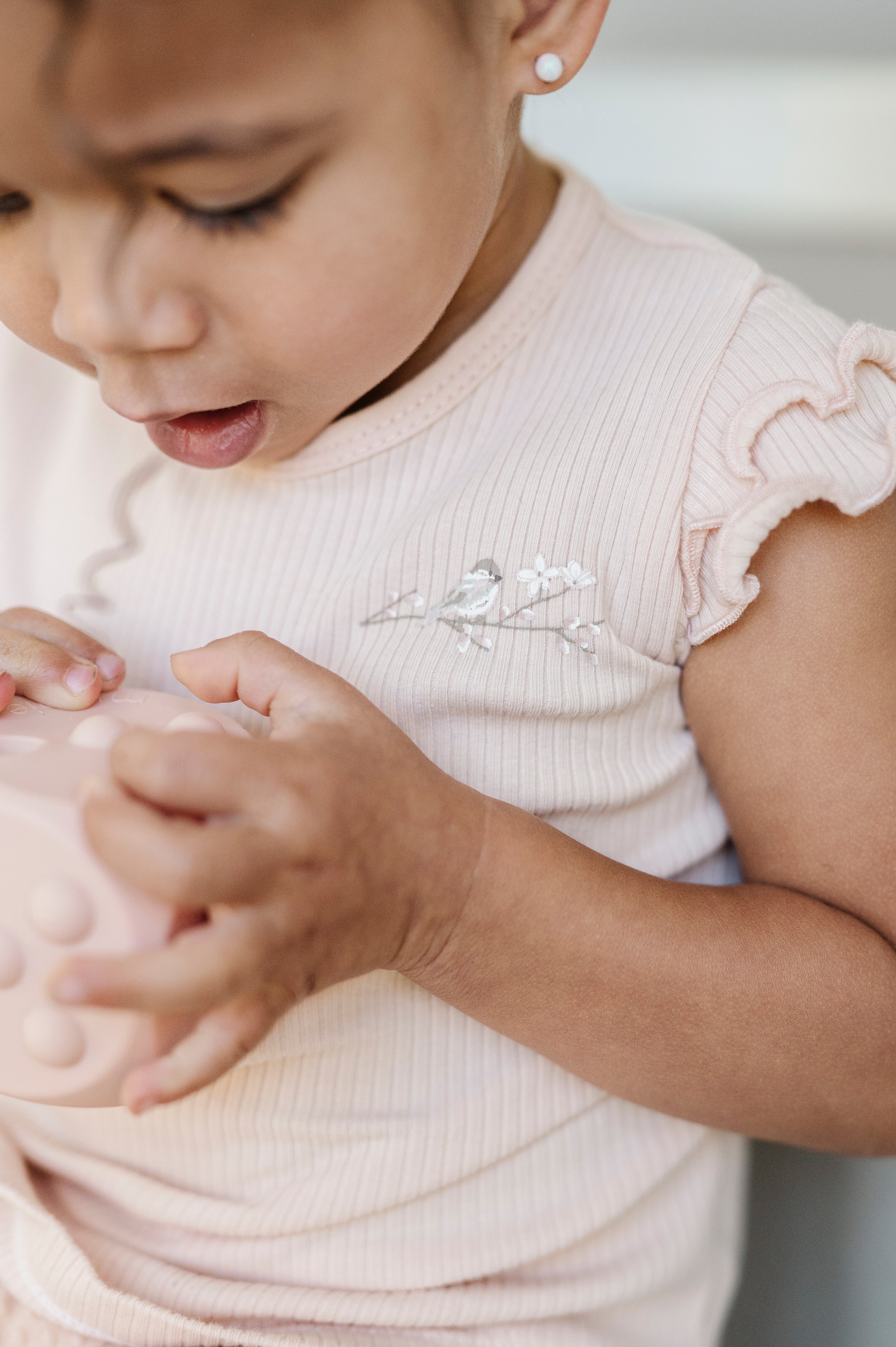 Jersey Cotton - Vintage Bird Collection – Ely's & Co.